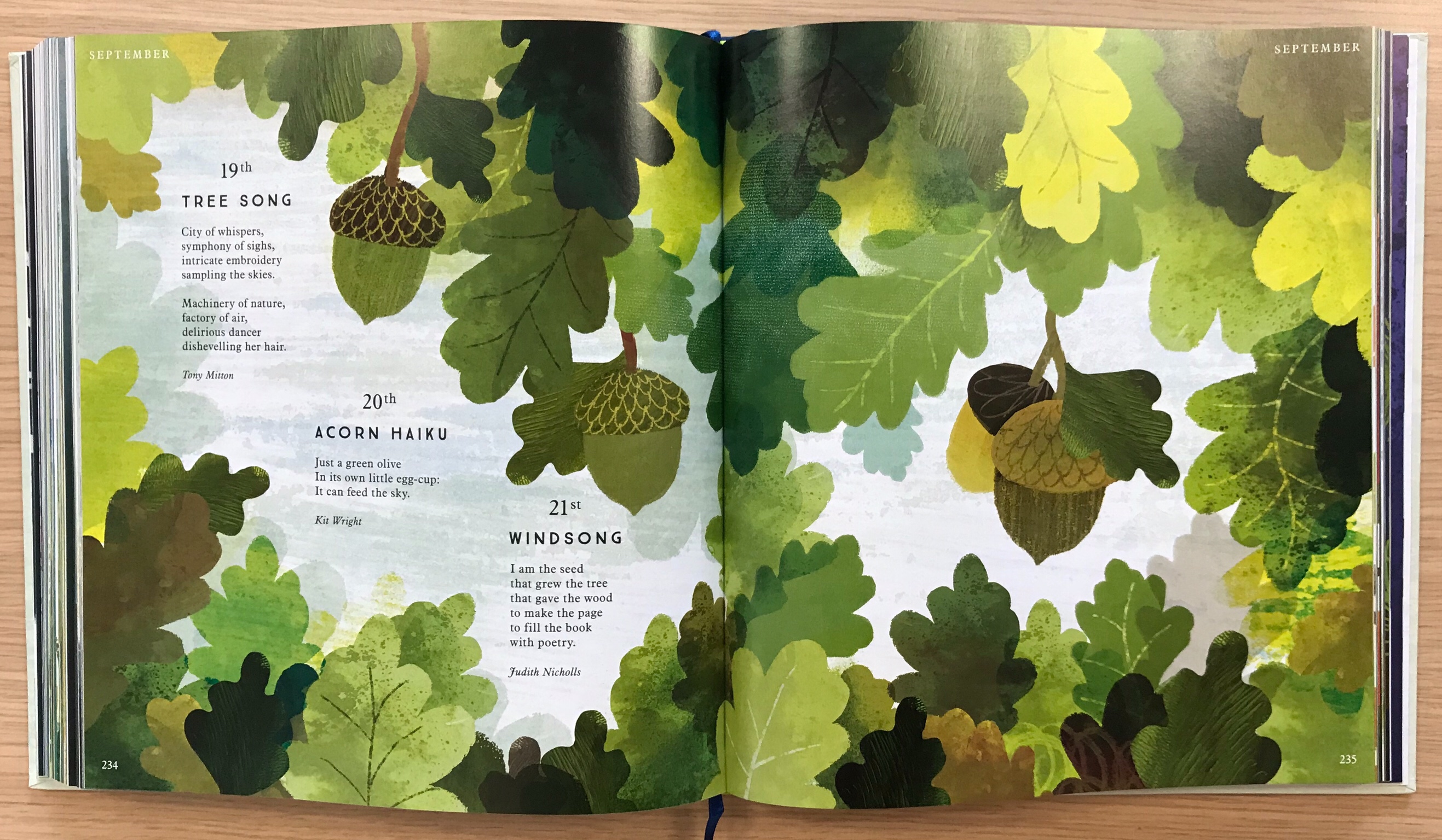 I Am the Seed That Grew the Tree – Get Kids into Books