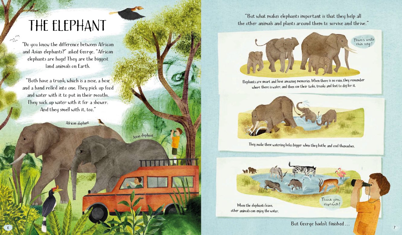 The Most Important Animal of All by Penny Worms & Hannah Bailey – Get ...